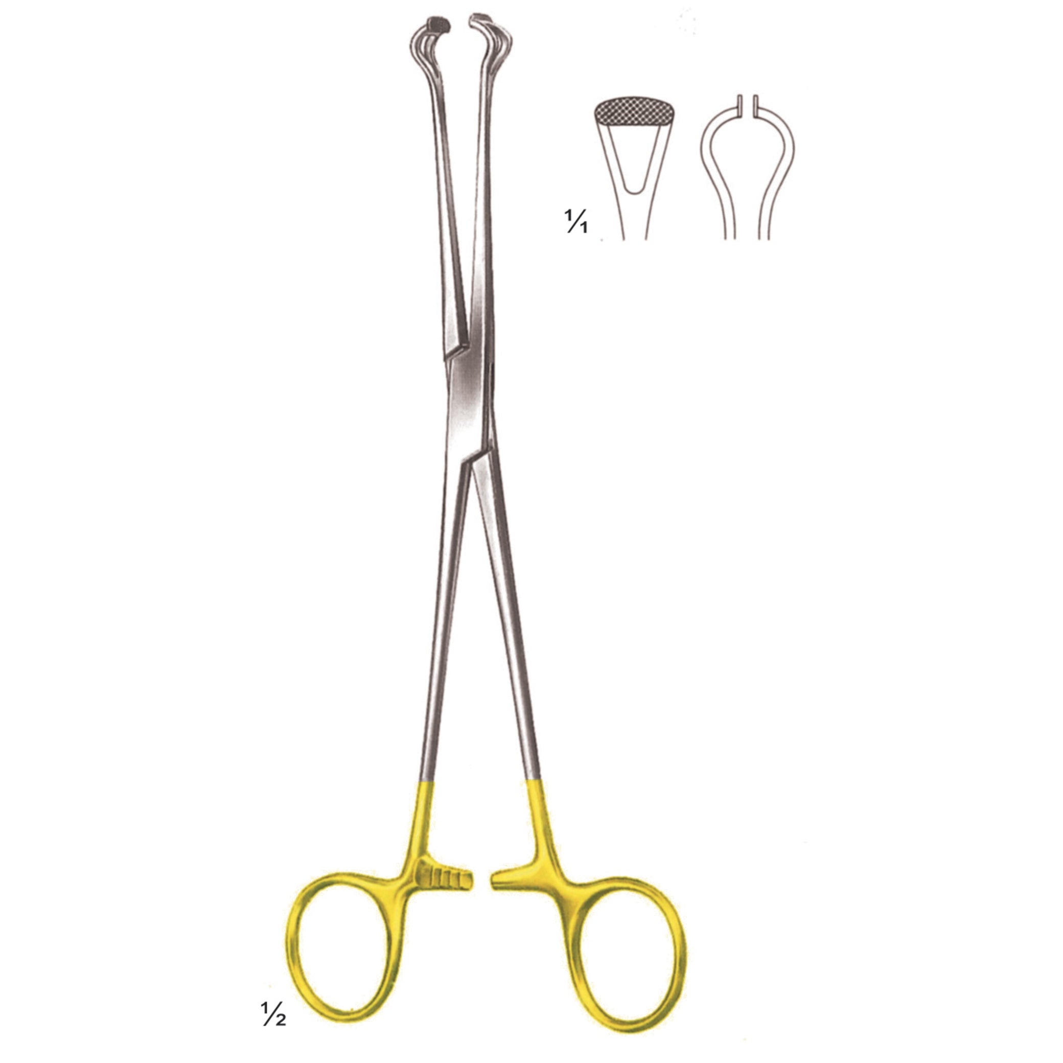 Babcock Artery Forceps Surgery Instrument – Dr Frigz
