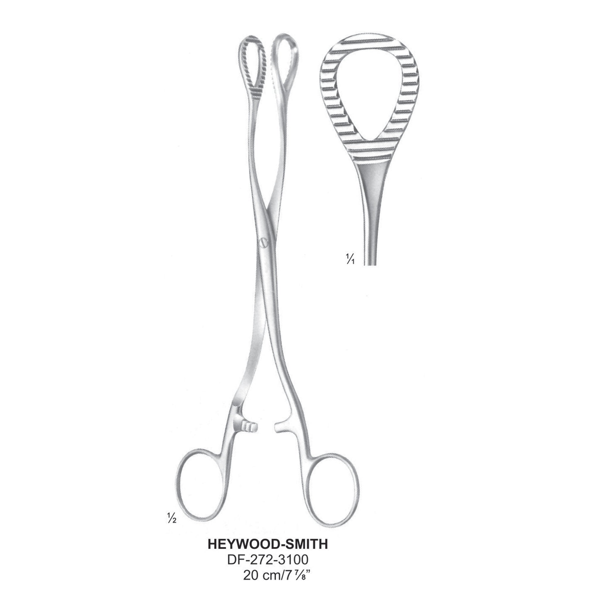Luer Forceps 24.5cm Surgery Instrument – Dr Frigz