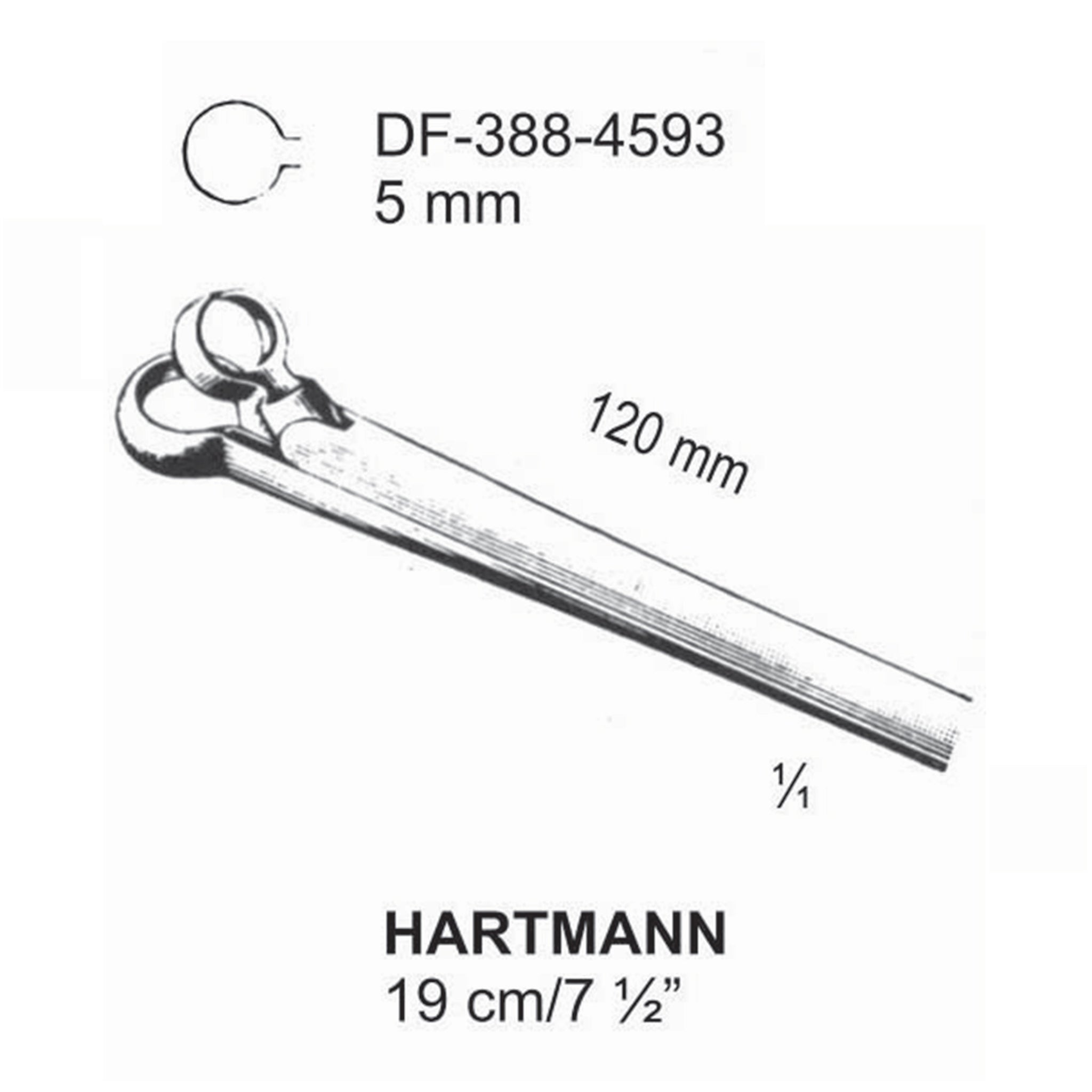 Hartmann Cutting Forceps Surgery Instrument – Dr Frigz