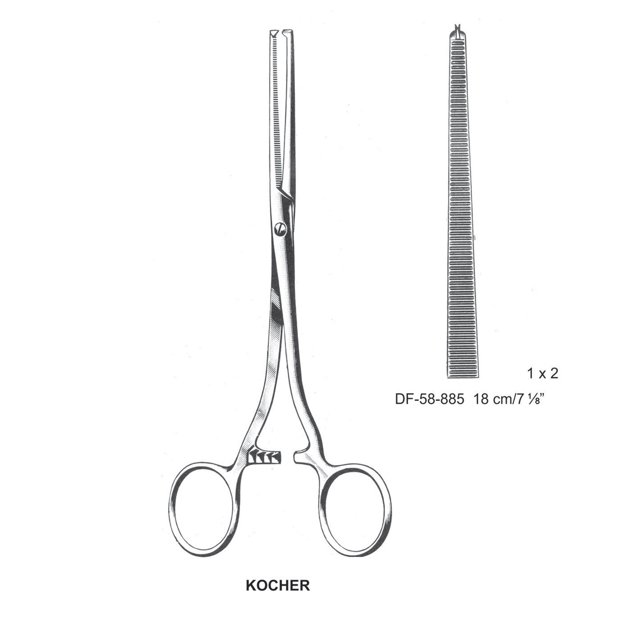 Kocher Artery Forceps Surgery Instrument – Dr Frigz