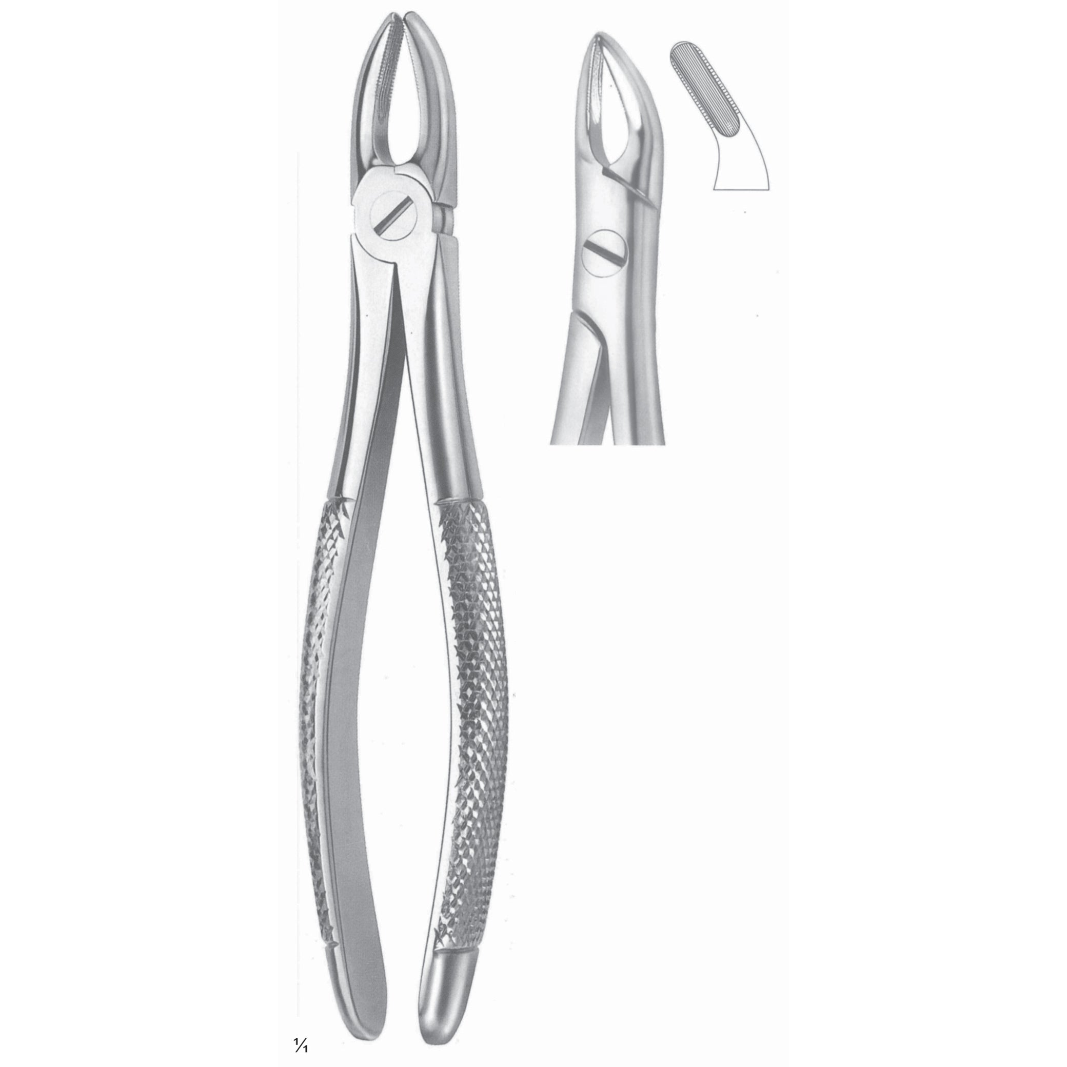Lawrence-Read Extracting Forceps Surgery Instrument – Dr Frigz