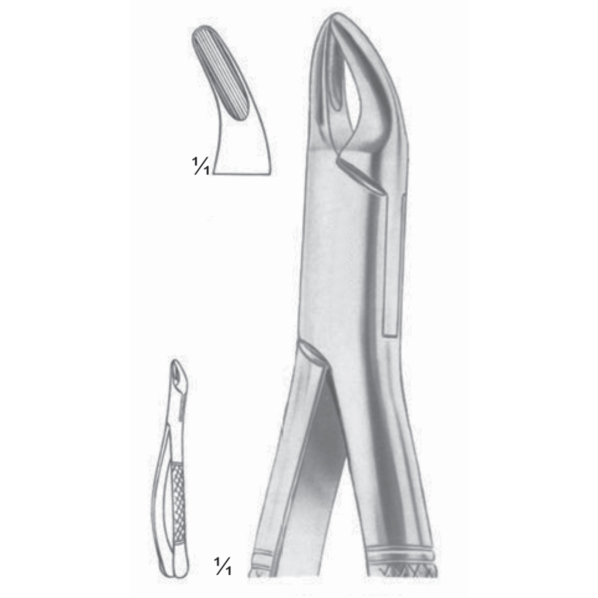 Cryer Extracting Forceps Surgery Instrument – Surgical Instrument
